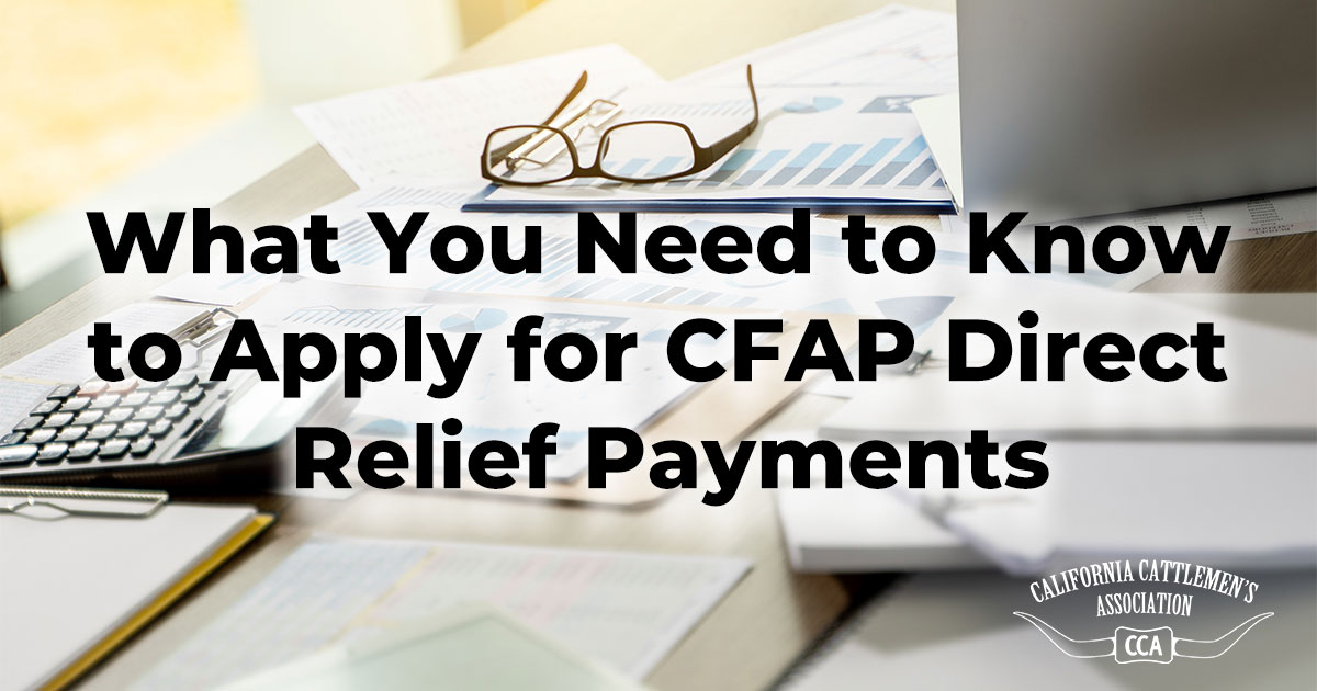 What You Need to Know to Apply for CFAP Direct Relief Payments ...
