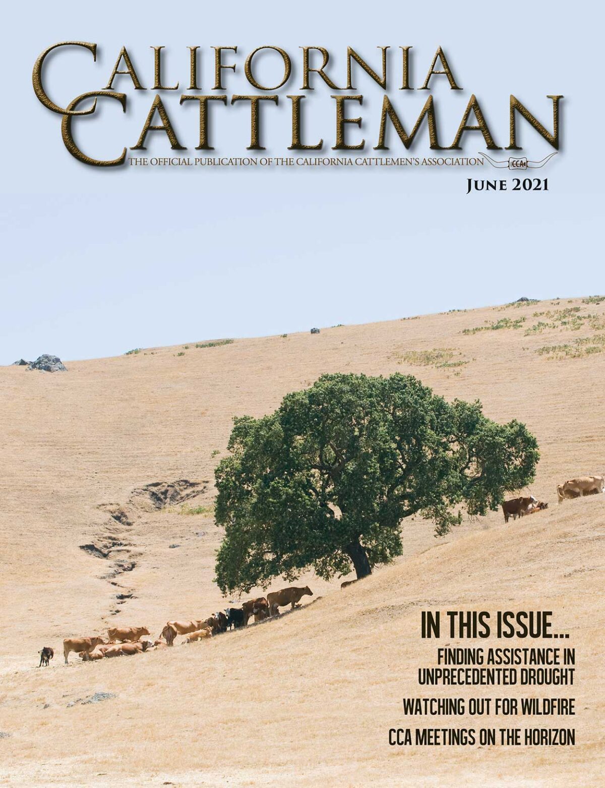 The Latest California Cattleman Magazine – California Cattlemen's ...