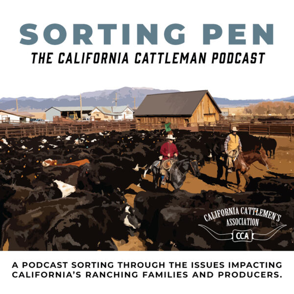Sorting through an outlook for 2024 with CattleFax's Patrick Linnell ...