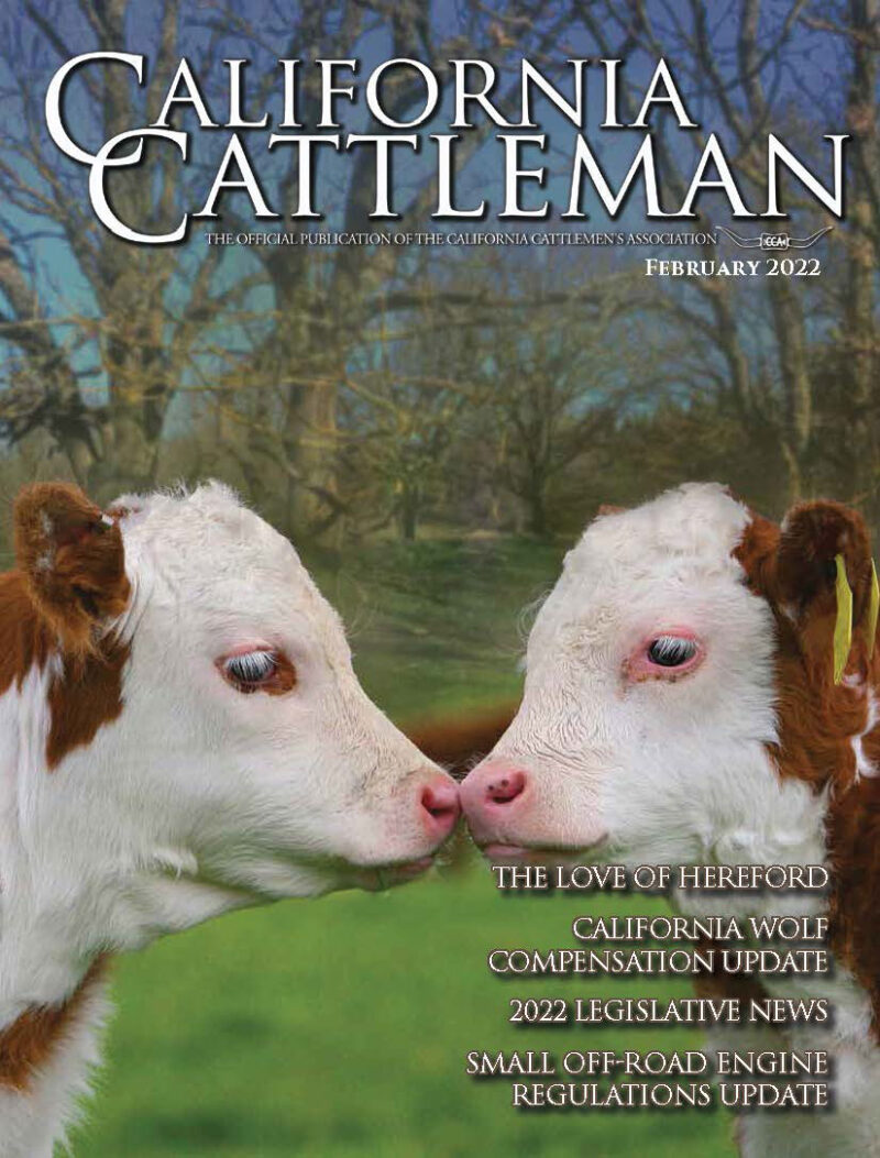 The Latest California Cattleman Magazine – California Cattlemen's ...