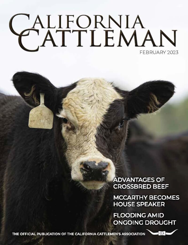 The Latest California Cattleman Magazine – California Cattlemen's ...