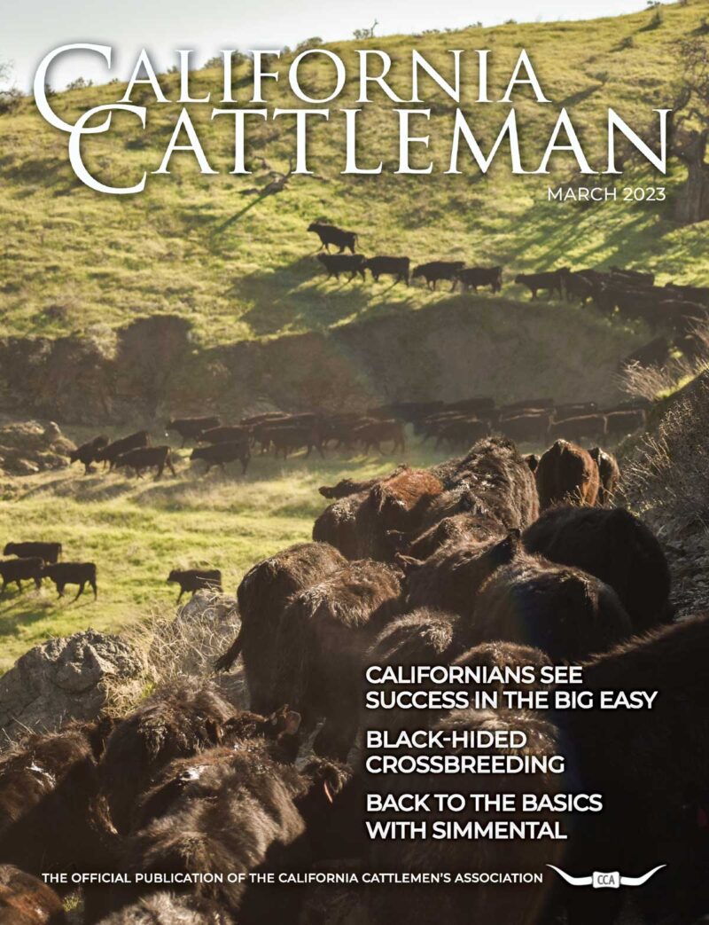 The Latest California Cattleman Magazine – California Cattlemen's ...