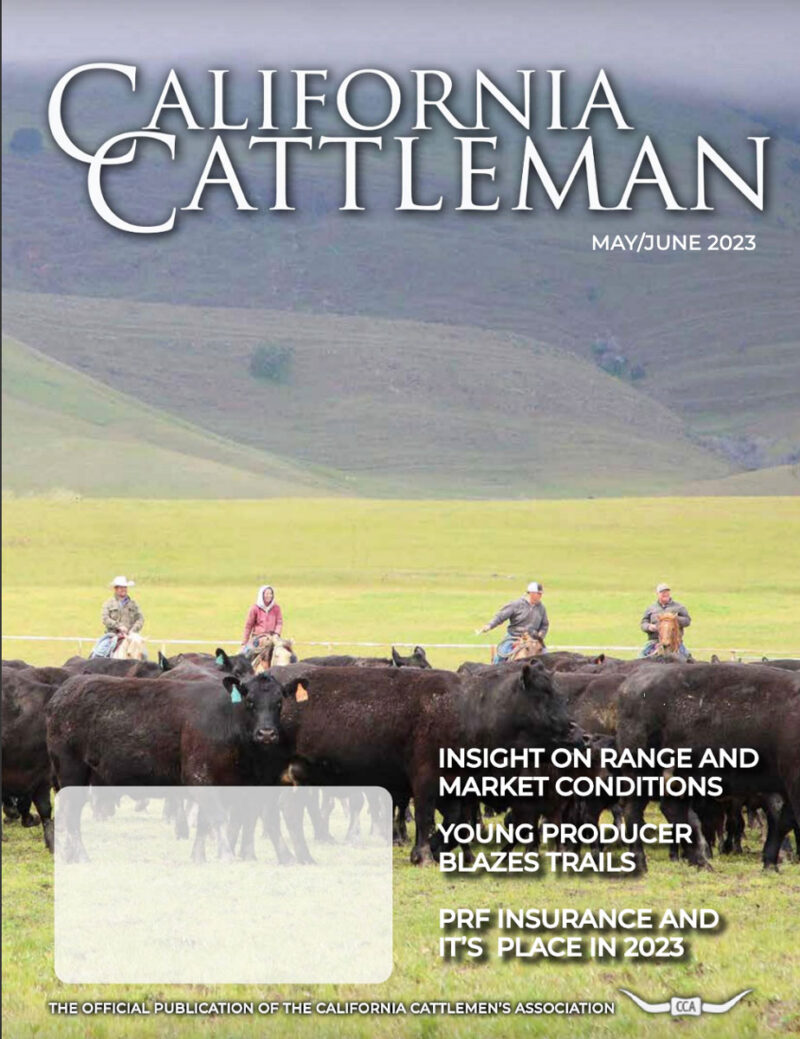 The Latest California Cattleman Magazine – California Cattlemen's ...