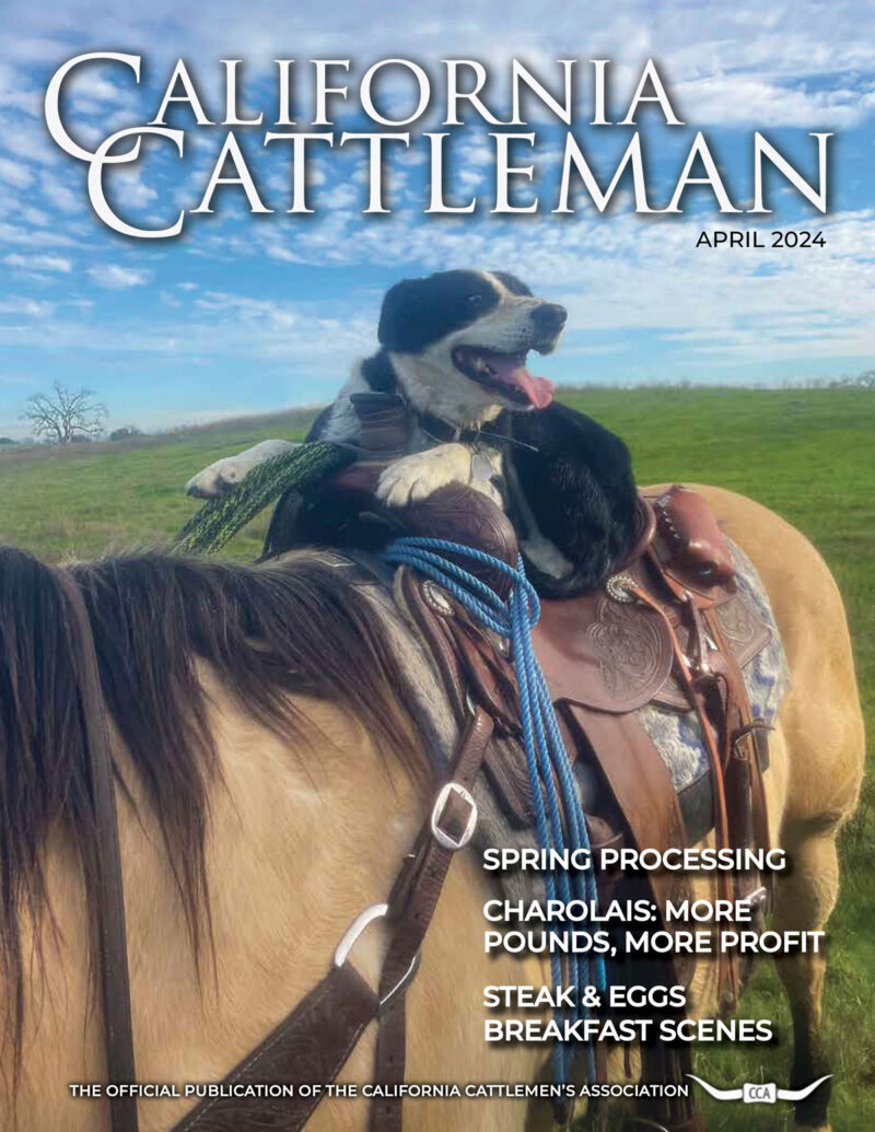 The Latest California Cattleman Magazine – California Cattlemen's ...