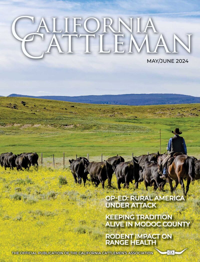 The Latest California Cattleman Magazine – California Cattlemen's ...