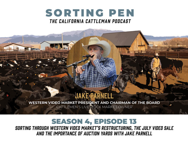 Sorting through WVM's restructuring, the July video sale and the ...