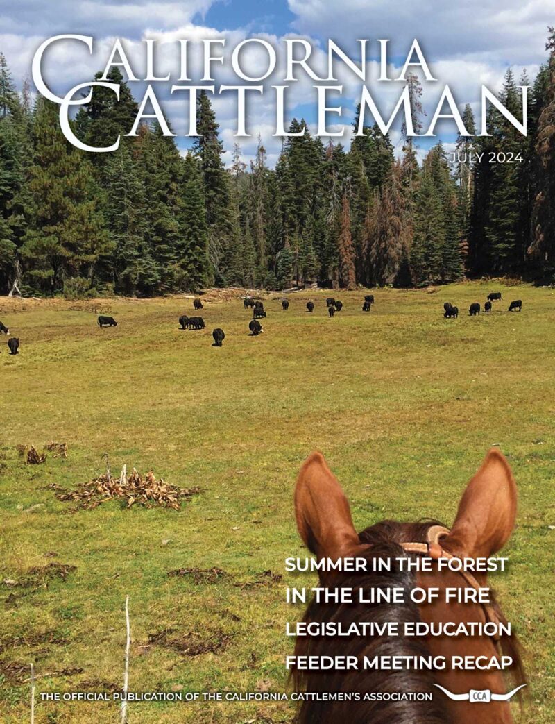 The Latest California Cattleman Magazine – California Cattlemen's ...