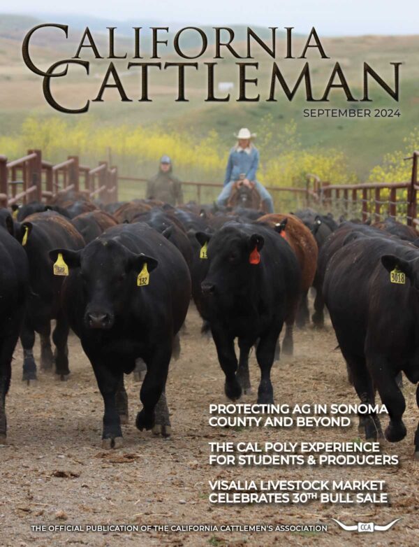 The Latest California Cattleman Magazine – California Cattlemen's ...