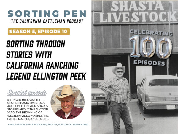 Sorting through stories with California ranching legend Ellington Peek ...
