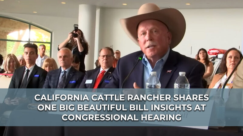 California Cattle Rancher Shares One Big Beautiful Bill Insights at ...